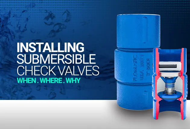 Recommended Submersible Check Valve Installation.