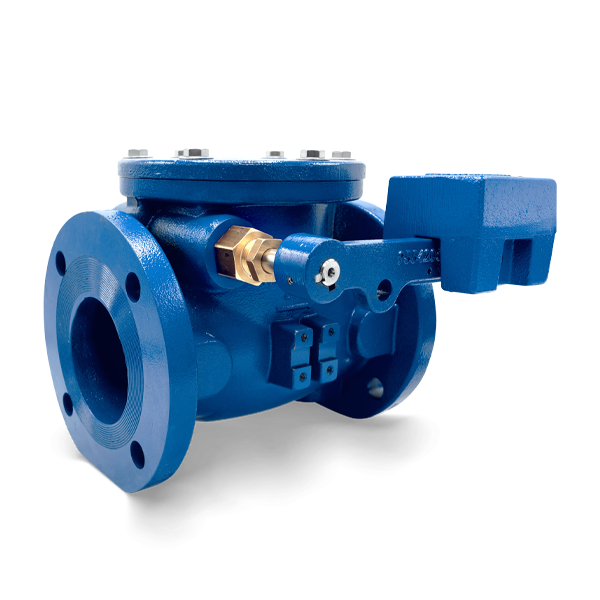 Swing Check Valves | Flomatic Valves | Flomatic